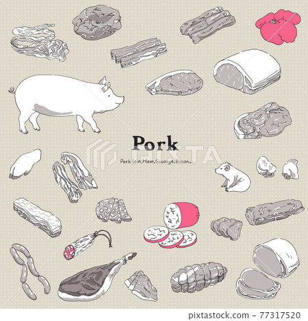Pork illustration set-hand drawn line drawing - Stock Illustration ...