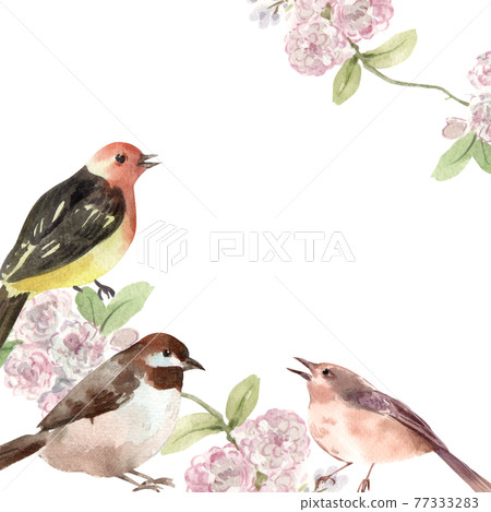 Spring birds frame watercolor - Stock Illustration [77333283] - PIXTA