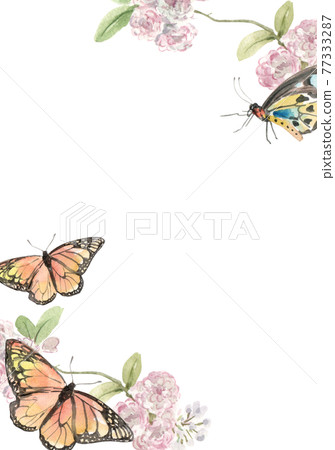 Spring Butterfly frame watercolor - Stock Illustration [77333287] - PIXTA