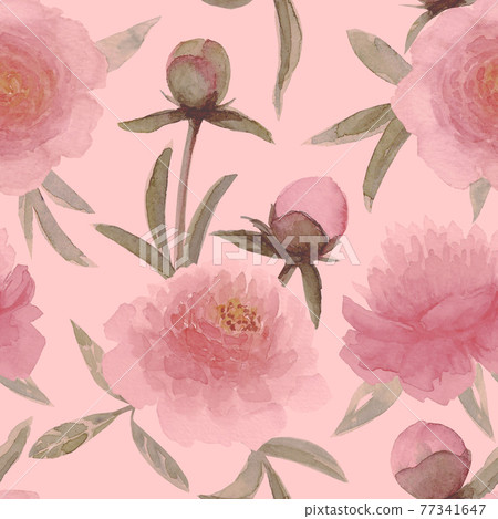 Watercolor pink peonies flowers. Beautiful... - Stock Illustration ...