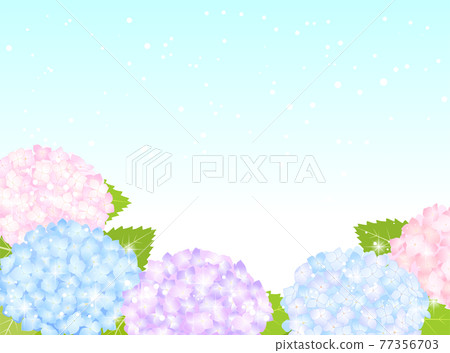 Hydrangea frame background colorful - Stock Illustration [77356703] - PIXTA