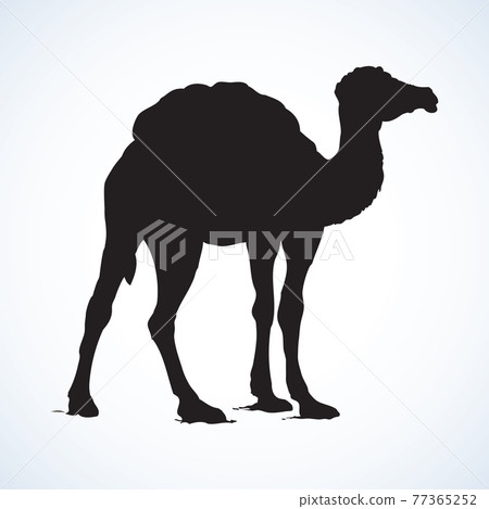 Rhinoceros. Vector drawing - Stock Illustration [77365252] - PIXTA