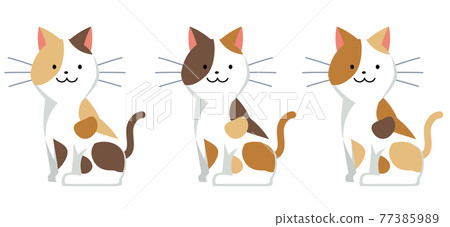 Calico cat illustration material - Stock Illustration [77385989] - PIXTA