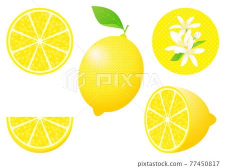 Lemon fruit cut and flower set - Stock Illustration [77450817] - PIXTA