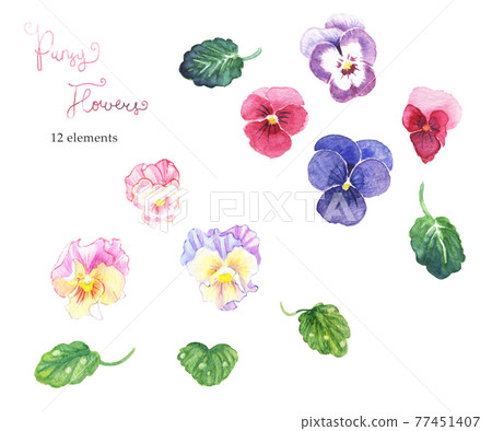 Hand-painted watercolor fluffy cute pansy /... - Stock Illustration ...