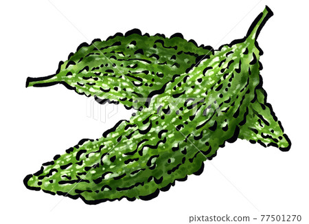 Hand-painted illustration of bitter gourd - Stock Illustration ...