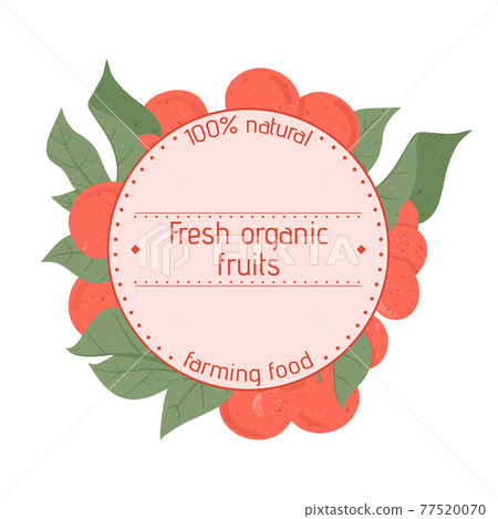 Ripe cherries logo design. Sweet fresh cherry... - Stock Illustration ...