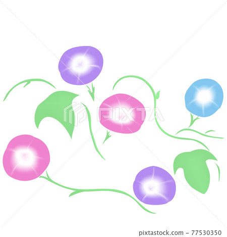 Illustrations of various Asagao and leaves - Stock Illustration ...