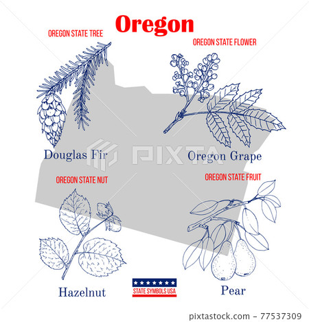 Oregon. Set of USA official state symbols - Stock Illustration ...