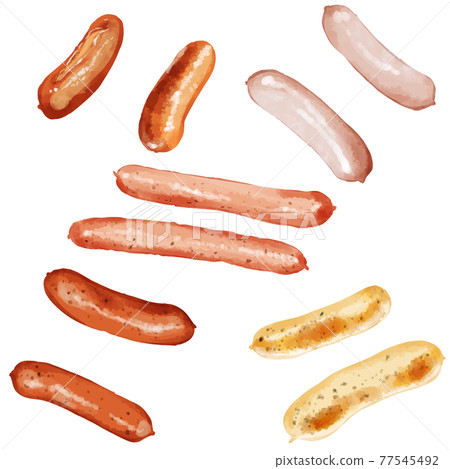 Hand-painted watercolor, 5 types of wiener... - Stock Illustration ...