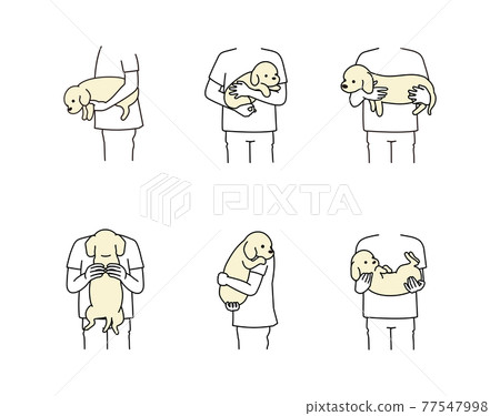 What Is The Proper Way To Hold A Dog
