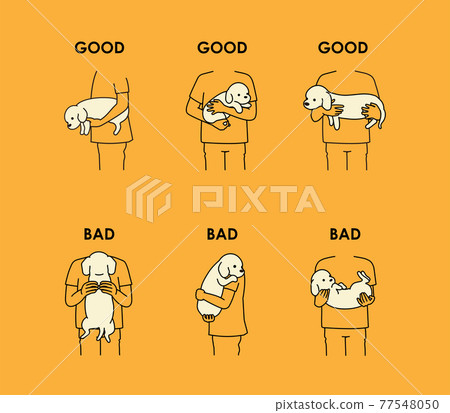 What Is The Proper Way To Hold A Dog