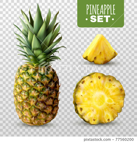 Realistic Pineapple Set - Stock Illustration [77560200] - PIXTA