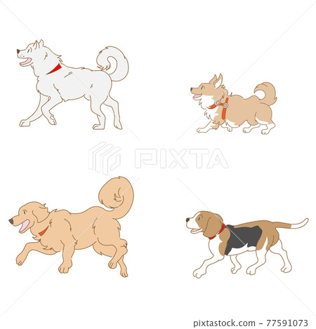 Vector set of 4 dogs - Stock Illustration [77591073] - PIXTA