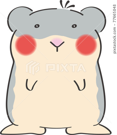 Front-facing hamster - Stock Illustration [77665848] - PIXTA