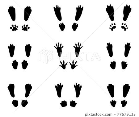 Black silhouettes of traces of rabbits on a... - Stock Illustration ...