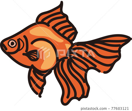 Simple illustration of goldfish - Stock Illustration [77683121] - PIXTA