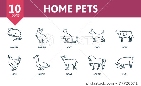 Home Pets icon set. Contains editable icons... - Stock Illustration ...