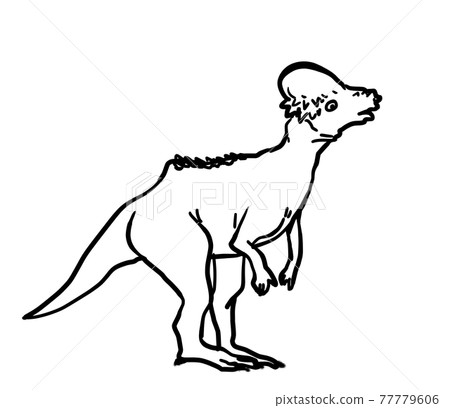Realistic Pachycephalosaurus line drawing - Stock Illustration ...
