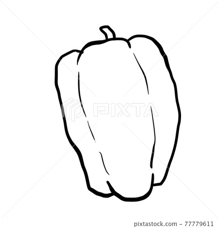 Realistic bell pepper line drawing - Stock Illustration [77779611] - PIXTA