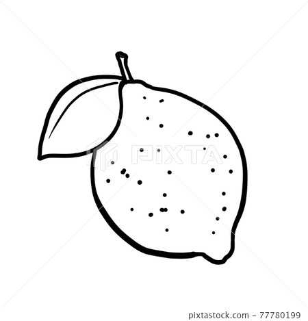 Realistic lemon line drawing - Stock Illustration [77780199] - PIXTA