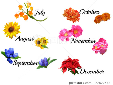 Flowers In Season November