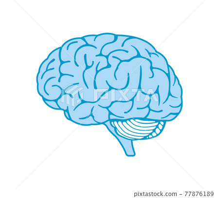 Human brain (from the side) Vector illustration... - Stock Illustration ...