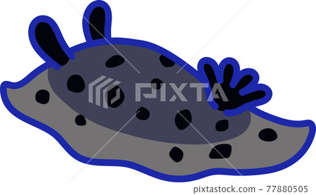 Nudibranch, sea slug, vector - Stock Illustration [77880505] - PIXTA