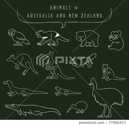 Australian and New Zealand animal illustration set - Stock Illustration ...