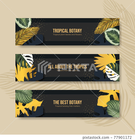 Banner template with tropical botany concept,... - Stock Illustration ...