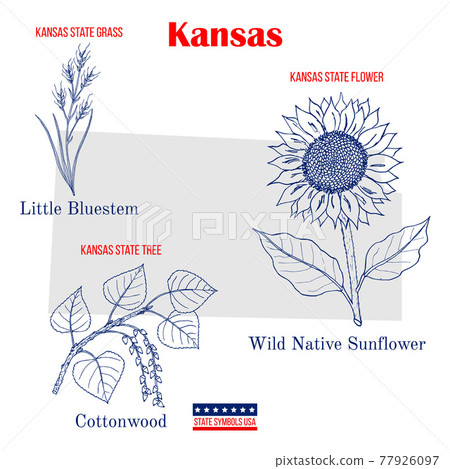Kansas State Symbols