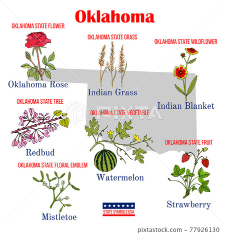 Oklahoma. Set of USA official state symbols - Stock Illustration ...