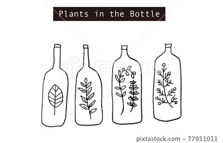 Illustration of a plant in a hand-painted bottle - Stock Illustration ...