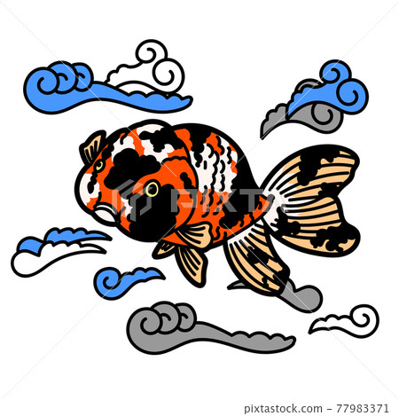 Goldfish / Ranchu - Stock Illustration [77983371] - PIXTA