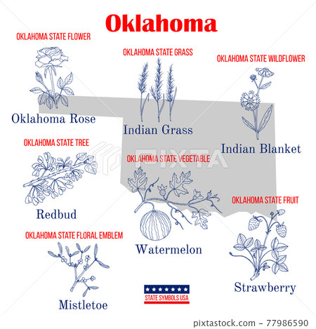 Oklahoma. Set of USA official state symbols - Stock Illustration ...