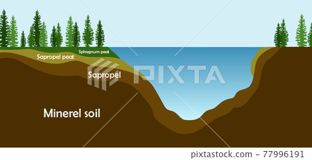 Peat vector illustration - Stock Illustration [77996191] - PIXTA