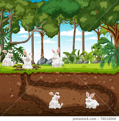 Underground animal burrow with rabbit family - Stock Illustration ...