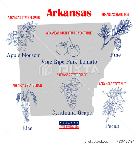 Arkansas. Set of USA official state symbols - Stock Illustration ...
