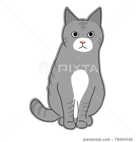 Full-body illustration of a cat, a sitting... - Stock Illustration ...