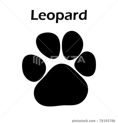 Leopard Footprint - Stock Illustration [78105786] - PIXTA