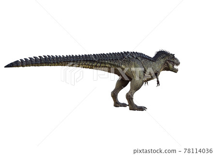 tyrannosaurus rex, in different poses for... - Stock Illustration ...