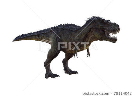 tyrannosaurus rex, in different poses for... - Stock Illustration ...