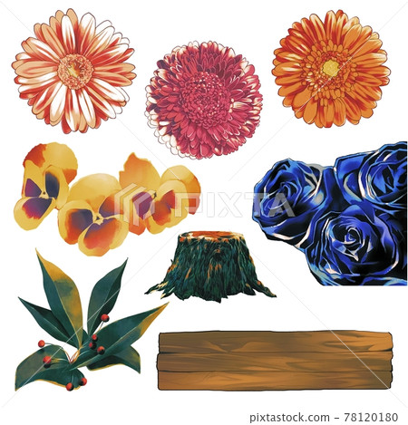 Summary of flowers and plants - Stock Illustration [78120180] - PIXTA