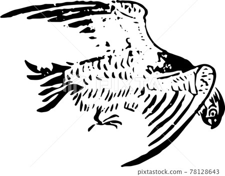 Hetauma Mysterious Bird: Hayabusa - Stock Illustration [78128643] - PIXTA