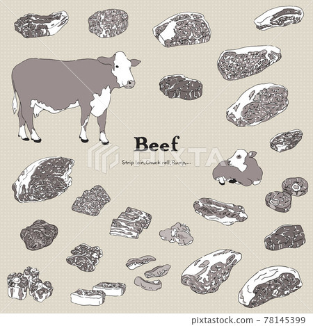 Beef illustration set-hand drawn line drawing - Stock Illustration ...
