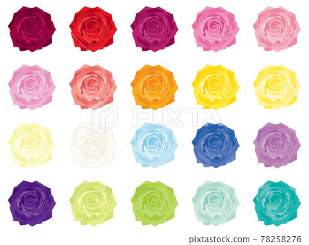 Colorful rose flowers color variations - Stock Illustration [78258276 ...