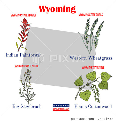 Wyoming. Set of USA official state symbols - Stock Illustration ...