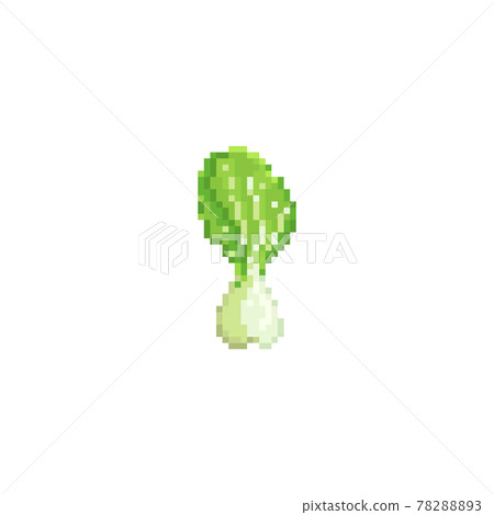 Pixel art pak choi icon. Vector vintage style... - Stock Illustration ...