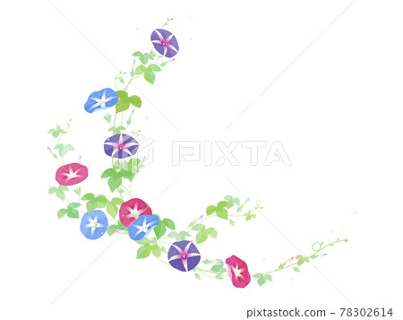 Asagao's frame - Stock Illustration [78302614] - PIXTA