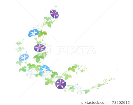 Asagao's frame - Stock Illustration [78302615] - PIXTA